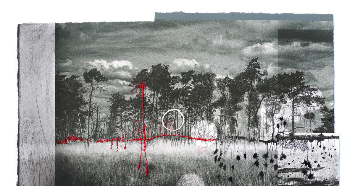 Thought Trails — Jackie Mulder | cultuurcentrum Hasselt