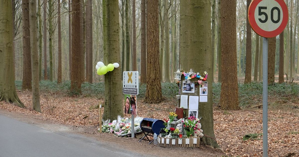 Daniël Dewaele — Reeksen | cultuurcentrum Hasselt